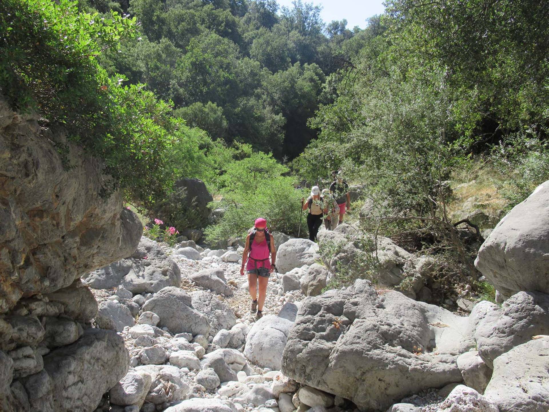 Private Trekking Kritsa Gorge Voulisma Beach - Premium Experiences in Crete